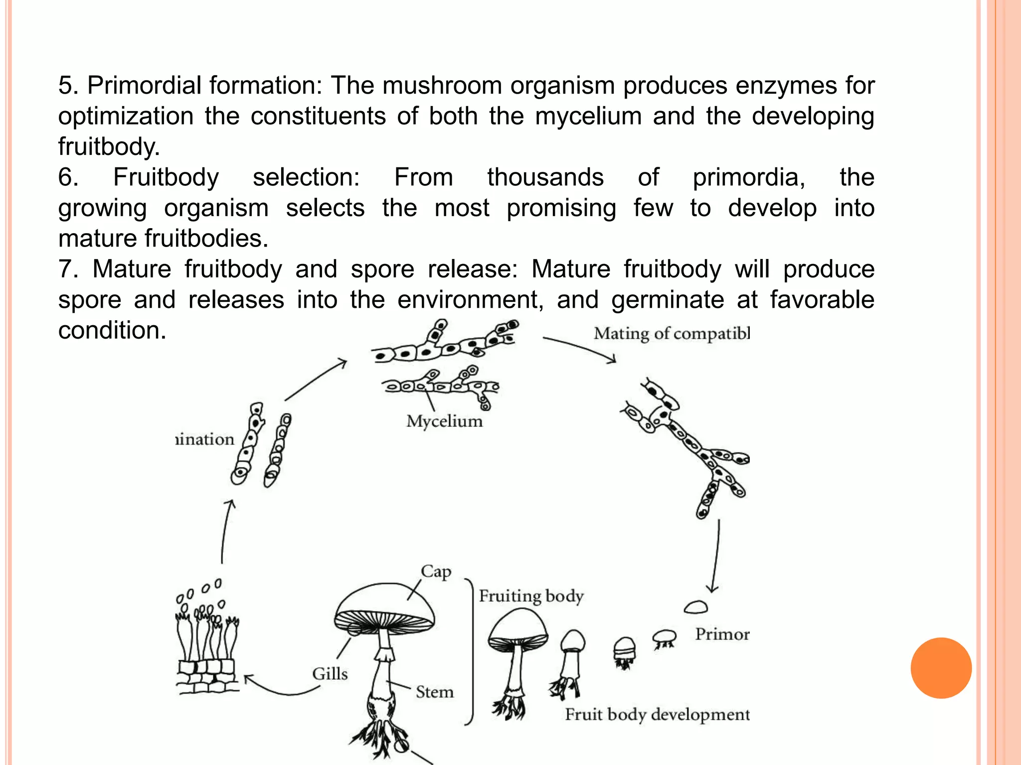 Mushroom cultivation by different fungi | PPTX