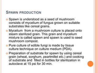 Mushroom cultivation by different fungi | PPTX