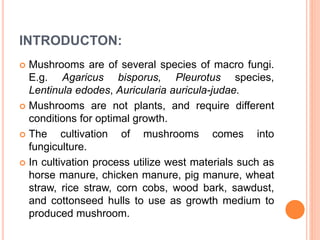 Mushroom cultivation by different fungi | PPTX