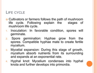 Mushroom cultivation by different fungi | PPTX