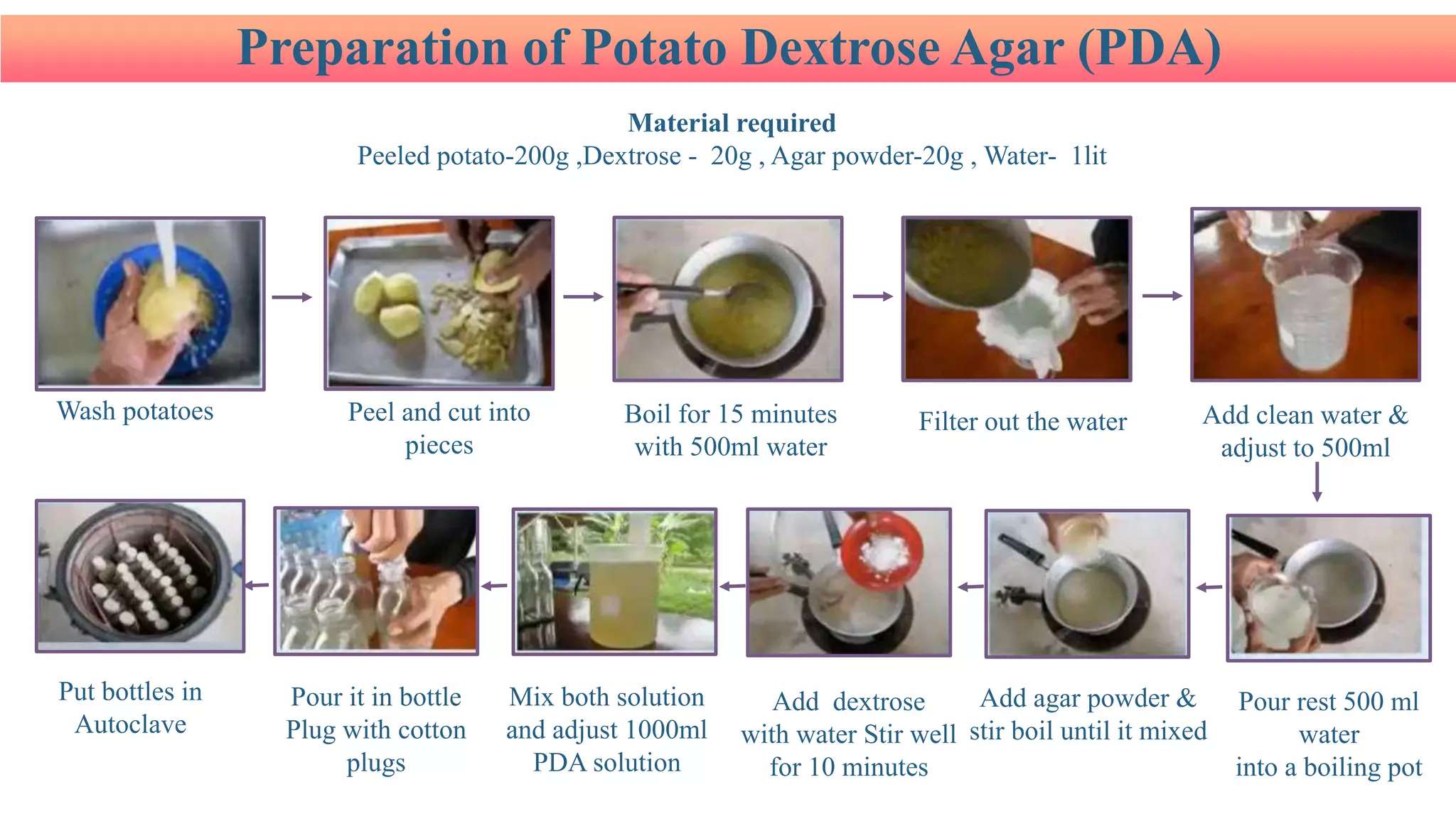 Mushroom Cultivation Technology | PPTX
