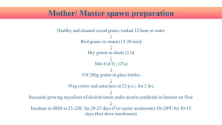 Mushroom Cultivation Technology | PPTX