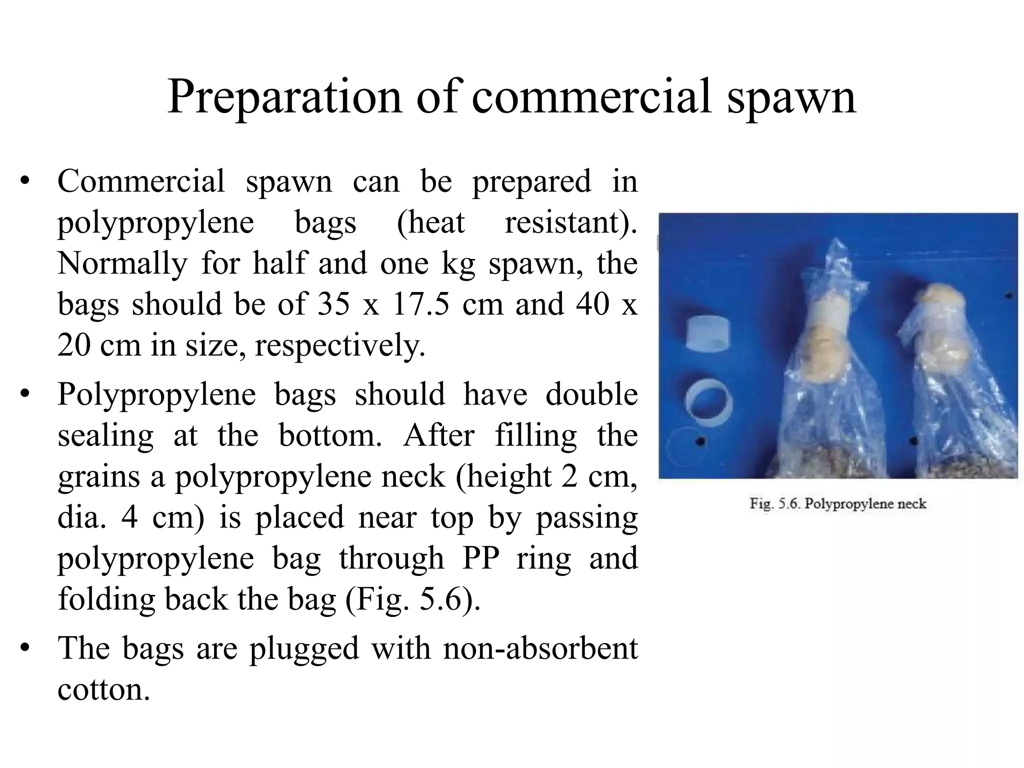 mushroom Spawn preparation | PPTX