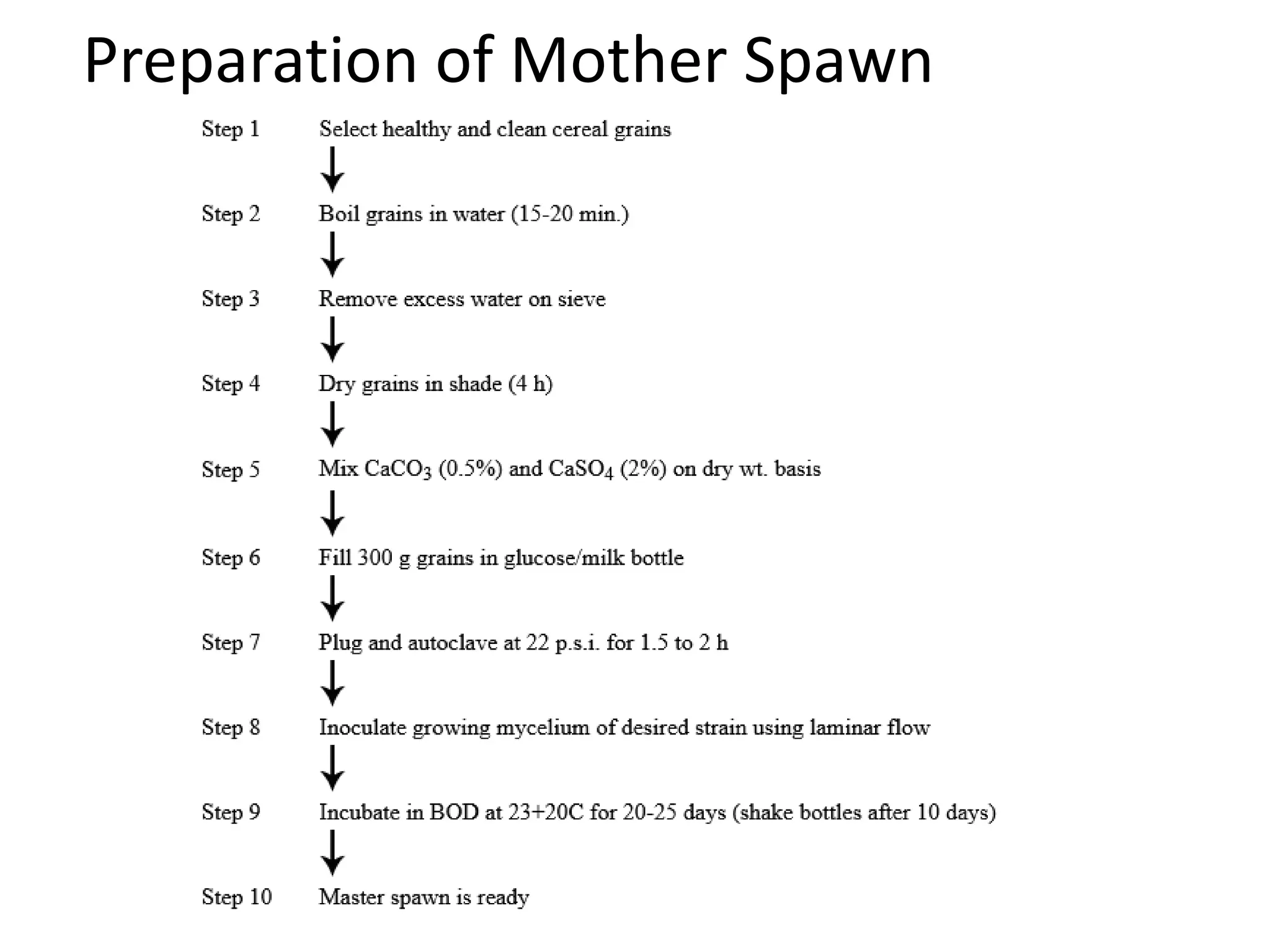 mushroom Spawn preparation | PPTX