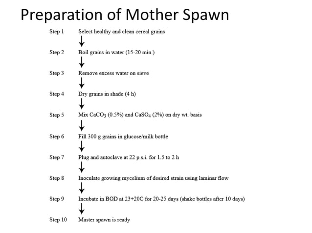 mushroom Spawn preparation | PPTX