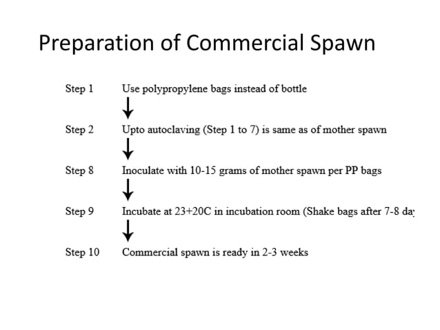 mushroom Spawn preparation | PPTX
