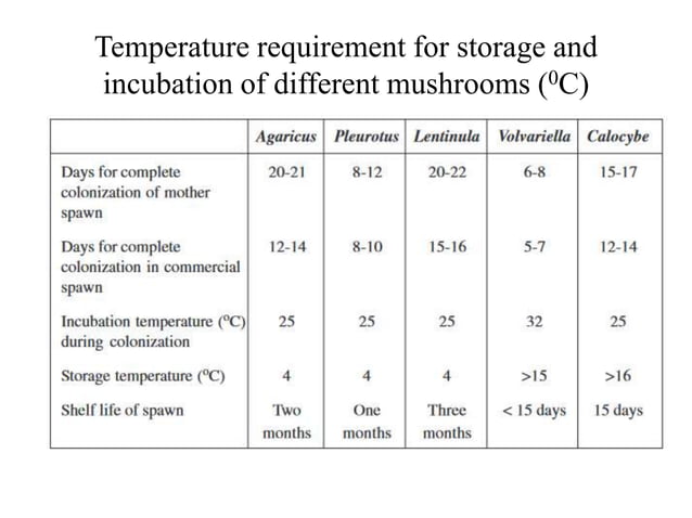mushroom Spawn preparation | PPTX