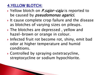 Mushroom diseases | PPTX