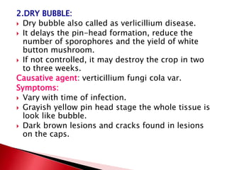 Mushroom diseases | PPTX