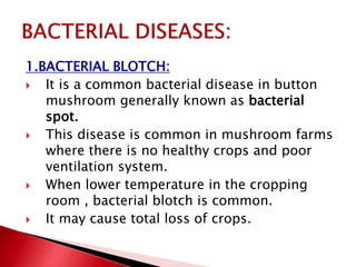 Mushroom diseases | PPTX