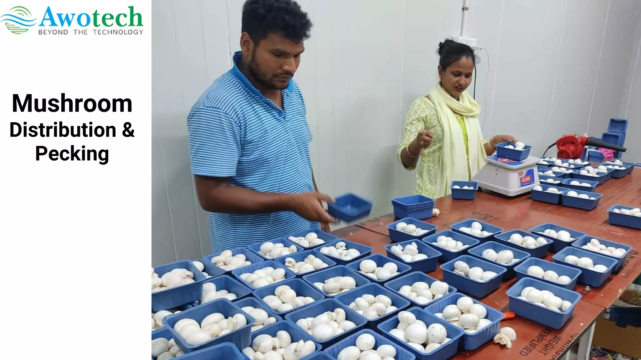 mushroom growing Chamber-Awotech (1).pdf