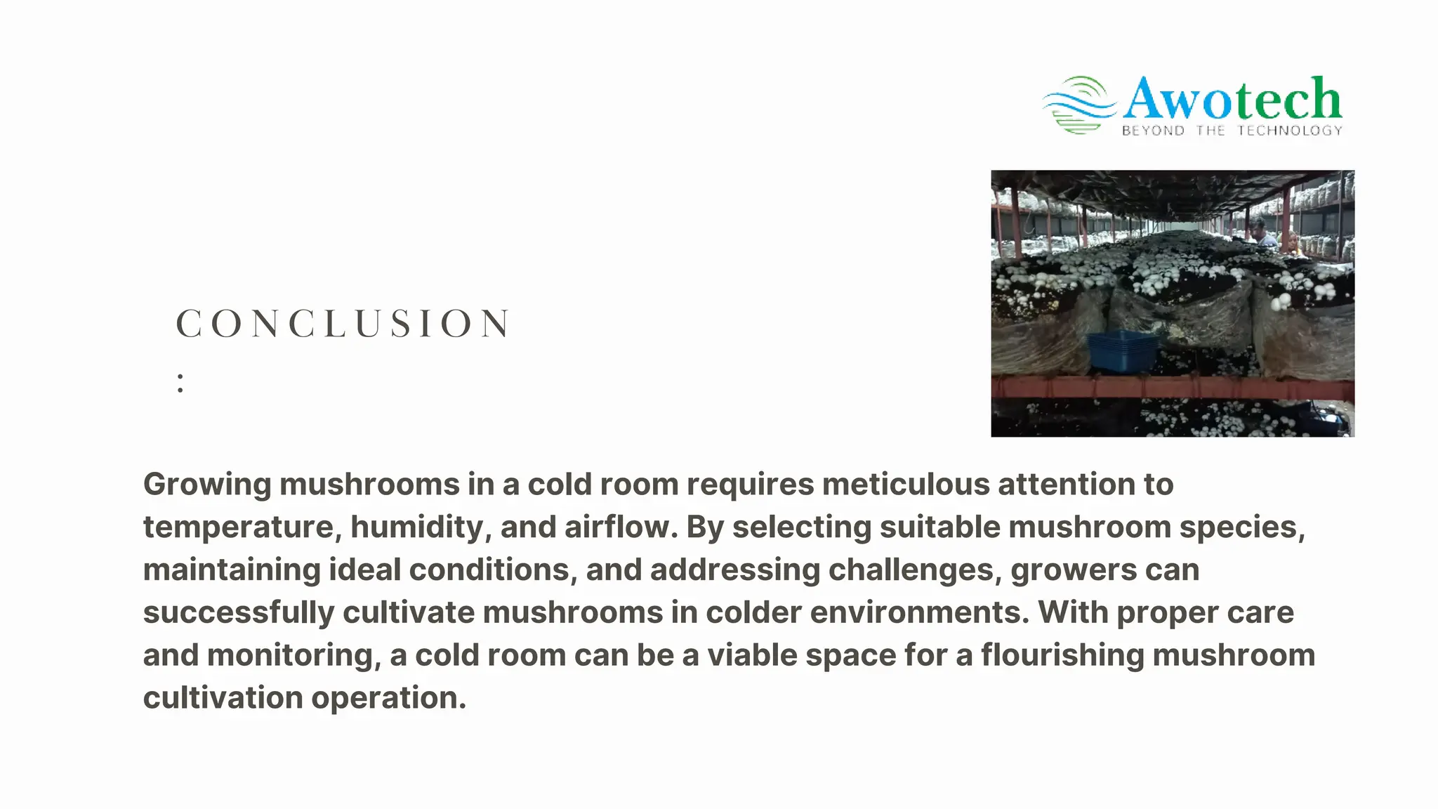 Mushroom growing in cold Room-Awotech.pdf