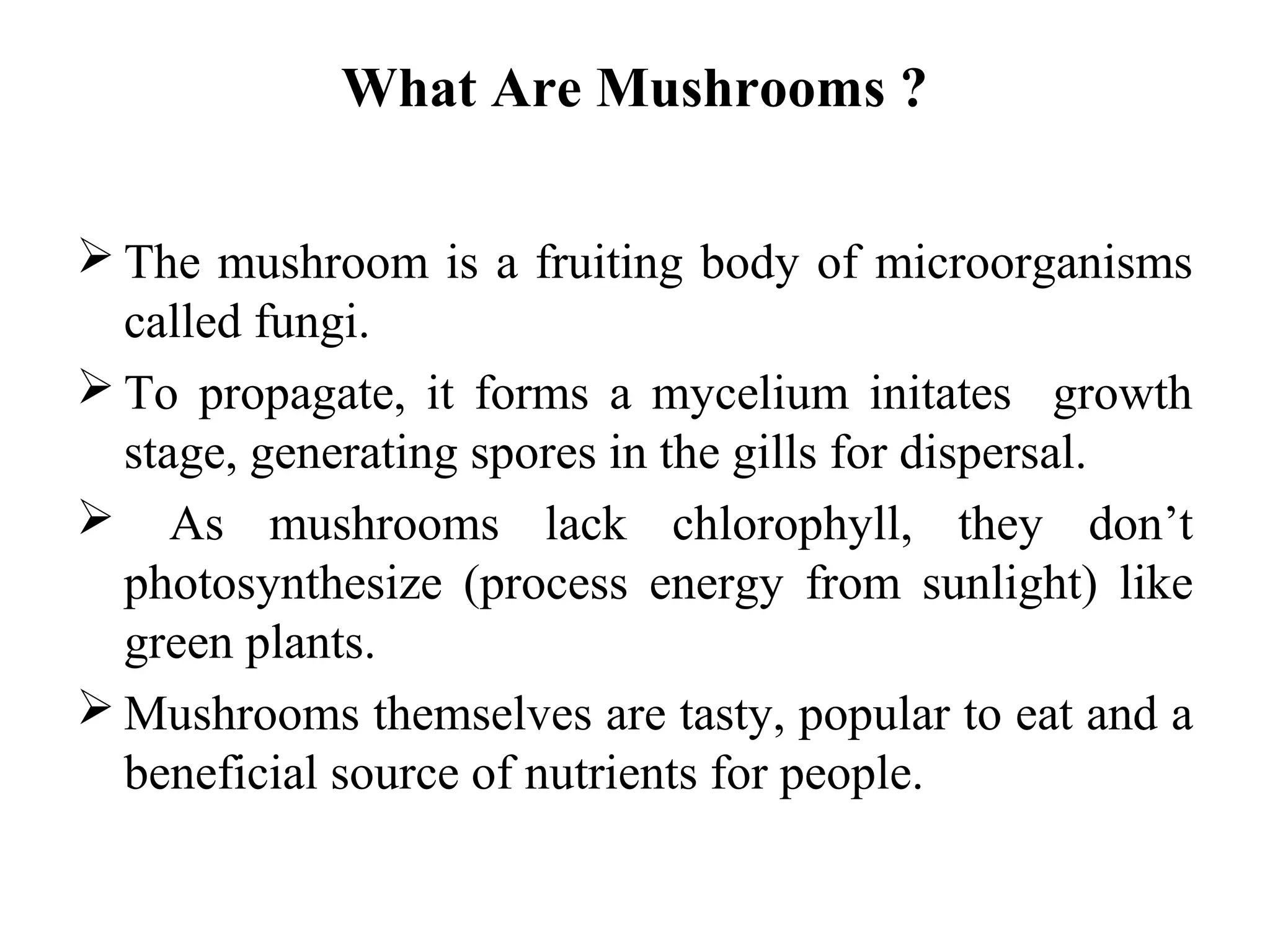 Mushroom importance | PPT