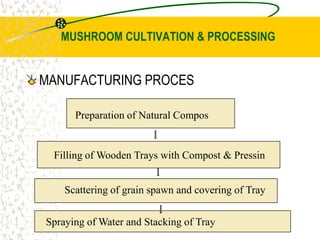 Mushroom in chhattisgarh | PPT