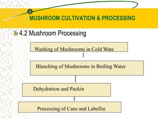 Mushroom in chhattisgarh | PPT