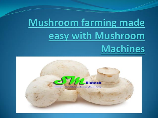 Mushroom plant setup mushroom air handling unit mushroom machines | PDF