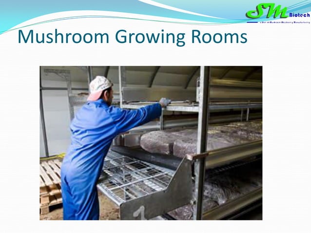 Mushroom plant setup mushroom air handling unit mushroom machines | PDF