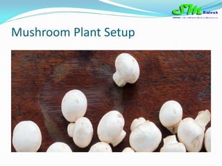 Mushroom plant setup mushroom air handling unit mushroom machines | PDF