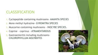 mushroompoisoning-231022110323-ee1da2f1.pptx