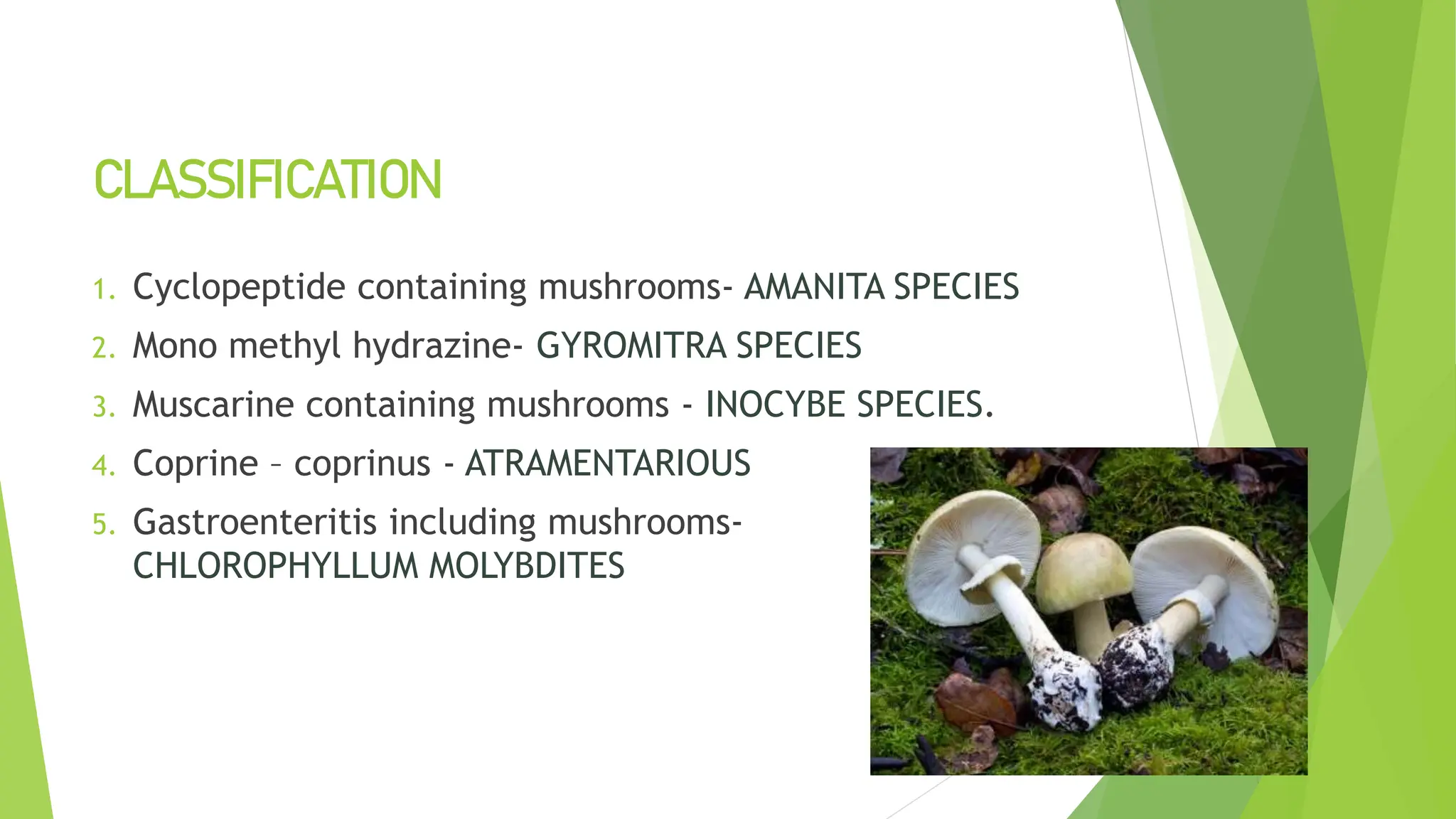 MUSHROOM POISONING.pptx