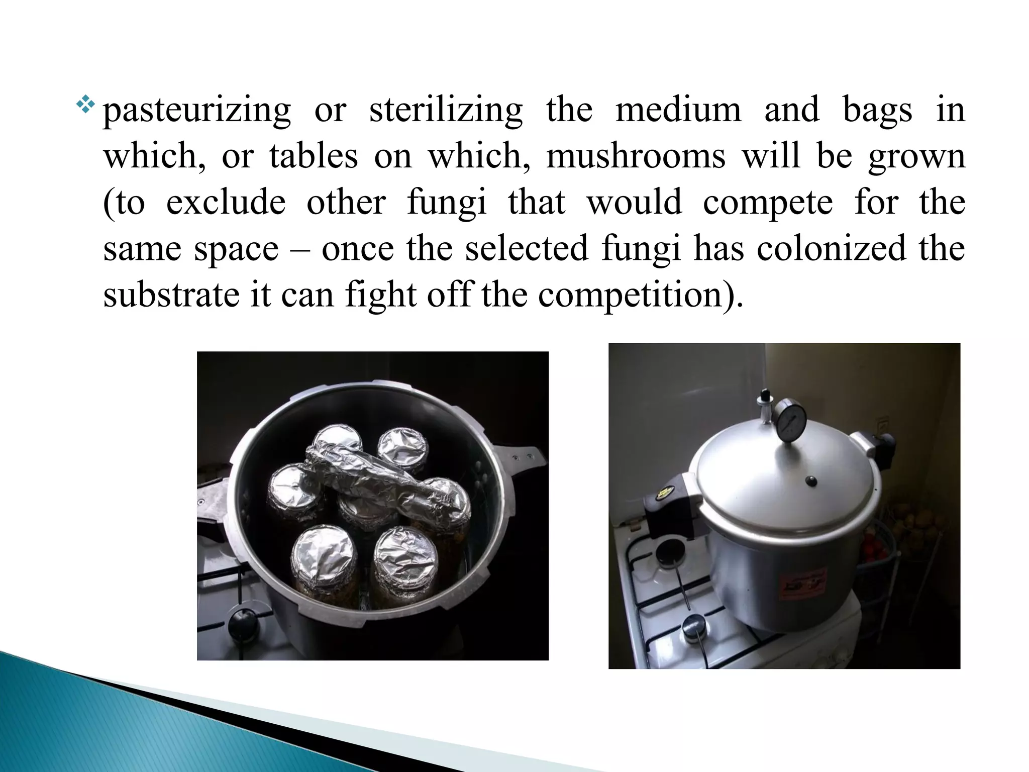 Mushroom Cultivation | PPT