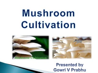 mushroomppt-151108142832-lva1-app6892 (1).ppt