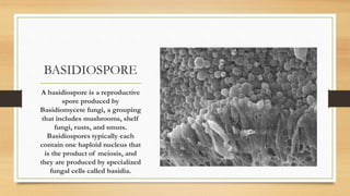 LIFE CYCLE OF MUSHROOM | PPTX