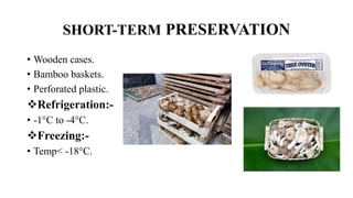STORAGE OF MUSHROOM .pptx
