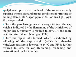 Medicinal Mushroom Cultivation | PPTX