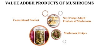 Mushroom Product.pptx