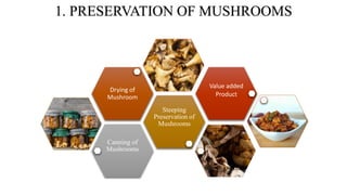 Mushroom Product.pptx