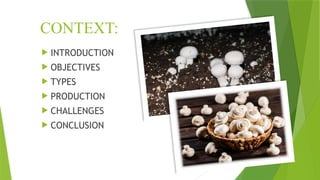 MUSHROOM_PRODUCTION_UNITS and mechanism 1][1].pptx