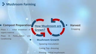Mushroom forming | PPT