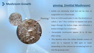 Mushroom forming | PPTX
