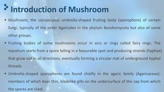 Mushroom forming | PPT