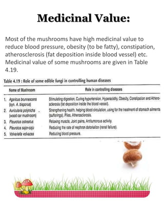 Nutritional and Medicinal Benefits of Mushrooms | PPTX