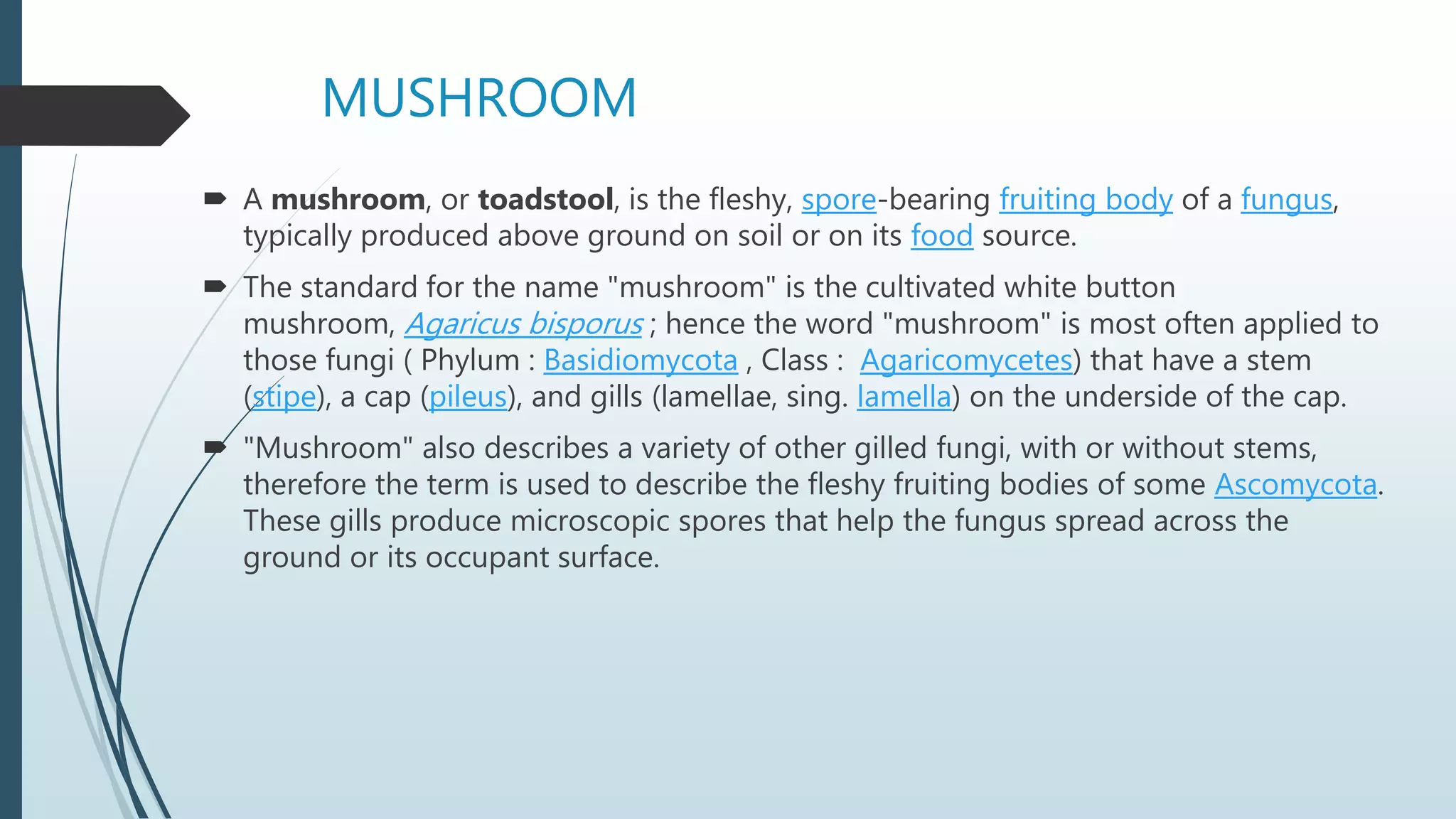 Mushrooms - intro classification and production | PPTX