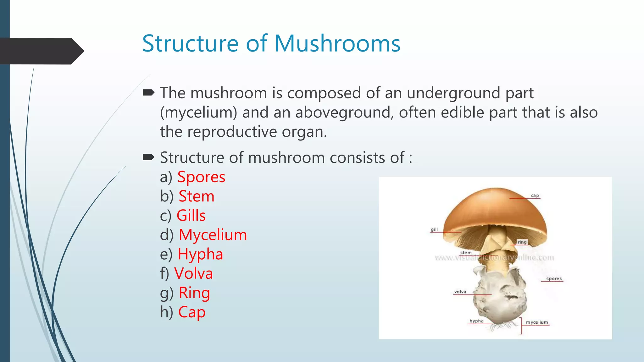 Mushrooms - intro classification and production | PPTX