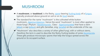Mushrooms - intro classification and production | PPTX