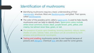 Mushrooms - intro classification and production | PPTX