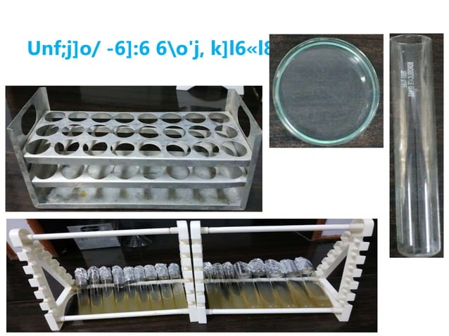 Mushroom spawn production.ppt