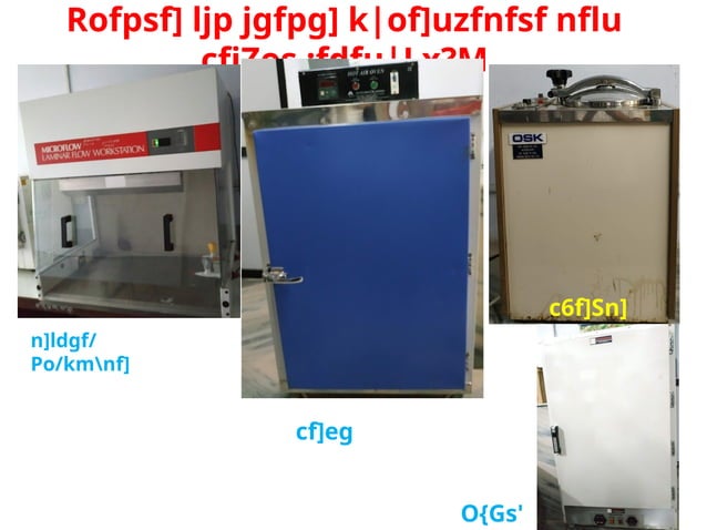 Mushroom spawn production Technology.ppt