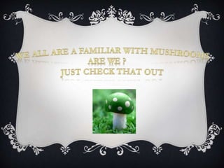 Mushrooms | PPTX | Biological Sciences | Science
