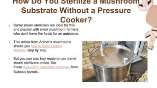 mushroom sterilization 13,15.pptx