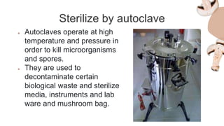 mushroom sterilization 13,15.pptx