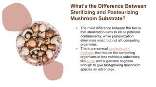 mushroom sterilization 13,15.pptx