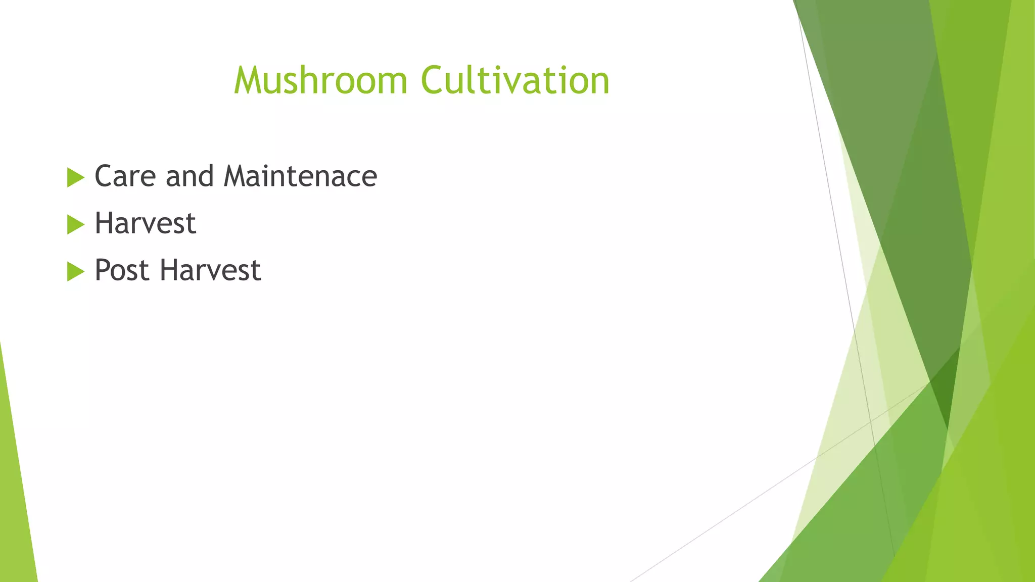 Mushroom Training.pptx