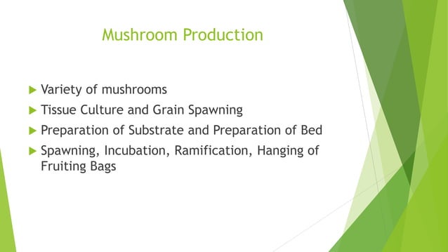 Mushroom Training.pptx