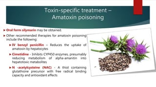 treatment of Mushroom toxicity | PPTX