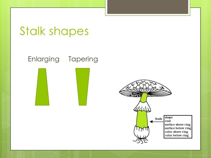 Mushroom tutorial http://rjdatamining.weebly.com